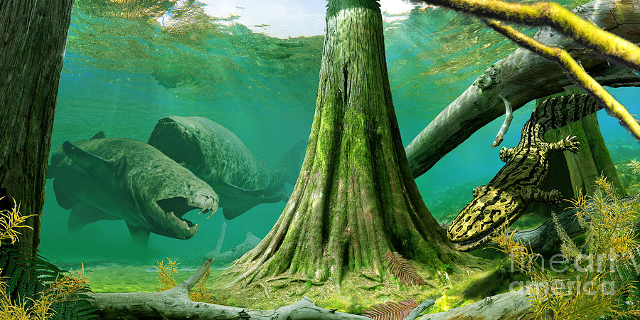 Os Tetrápodes: uma vida terrestre | Universo Racionalista